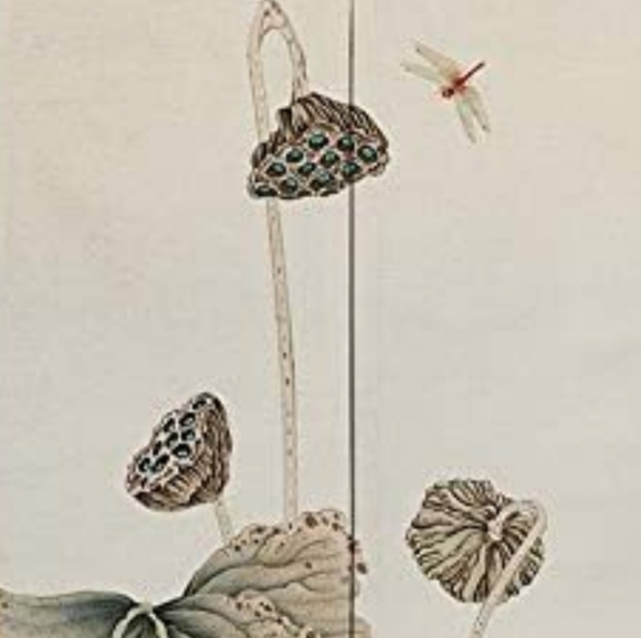 Boutique | Accents | Dragonfly Lotus Pods Flower Japanese Noren Split ...